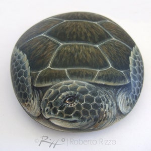 Unique Hand Painted Rock Sea Turtle - Etsy