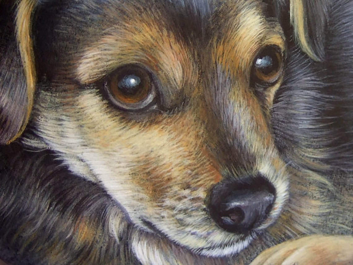 Pet Portraits on Commission Hand Painted Dog Portrait on - Etsy