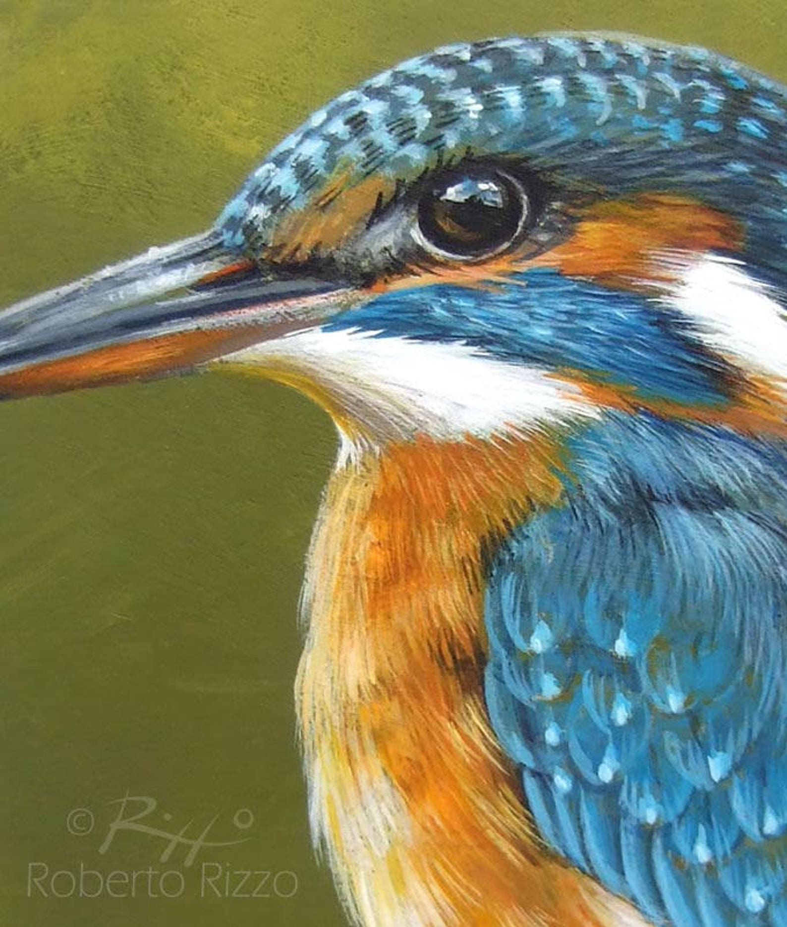 An Elegant Kingfisher Hand Painted on a Sea Rock! Rock Painting Art by ...