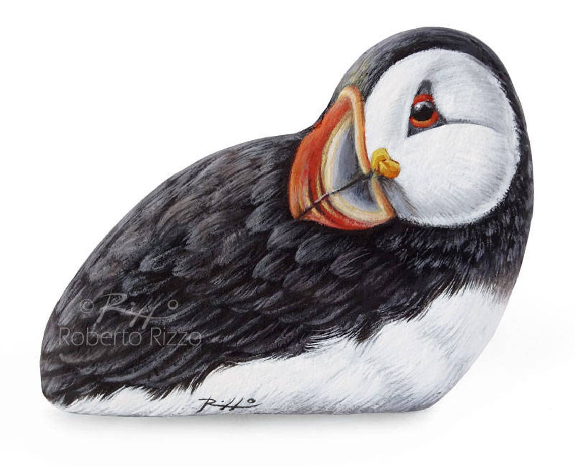 Unique Hand Painted Rock Puffin A Stunning Piece of Art and a - Etsy
