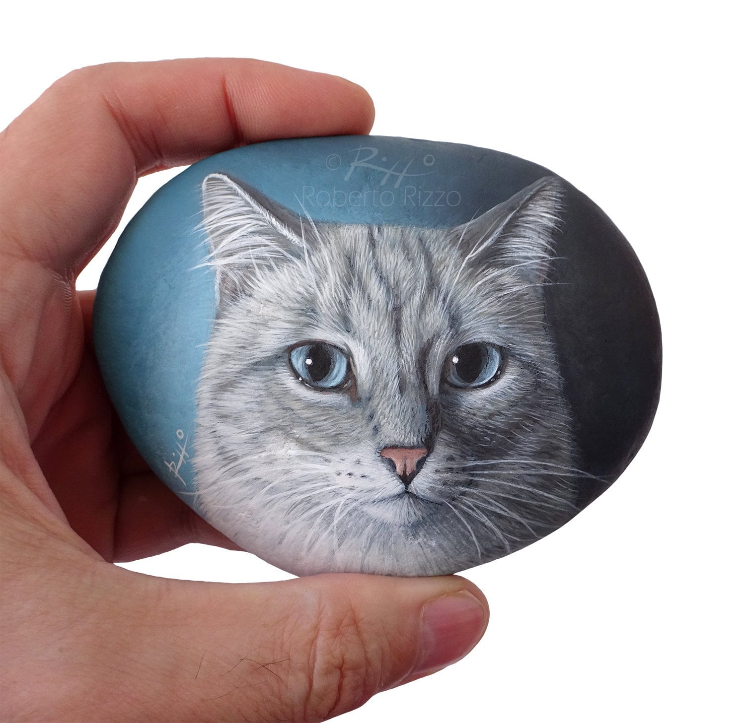 Custom Close up Cat Portrait Hand Painted on Natural Sea Stone Fine ...