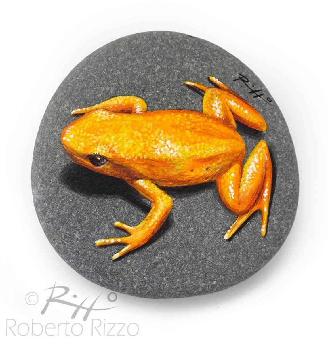 Unique Hand Painted Golden Frog Resting on A Rock | Small Trompe L'oeil ...