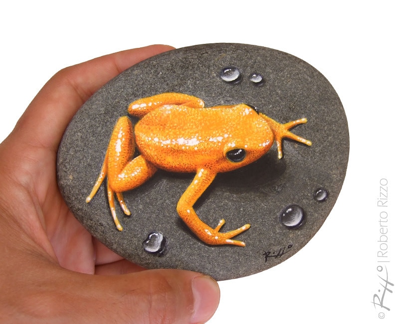 Unique Hand Painted Golden Frog Resting on A Rock | Small Trompe L'oeil ...