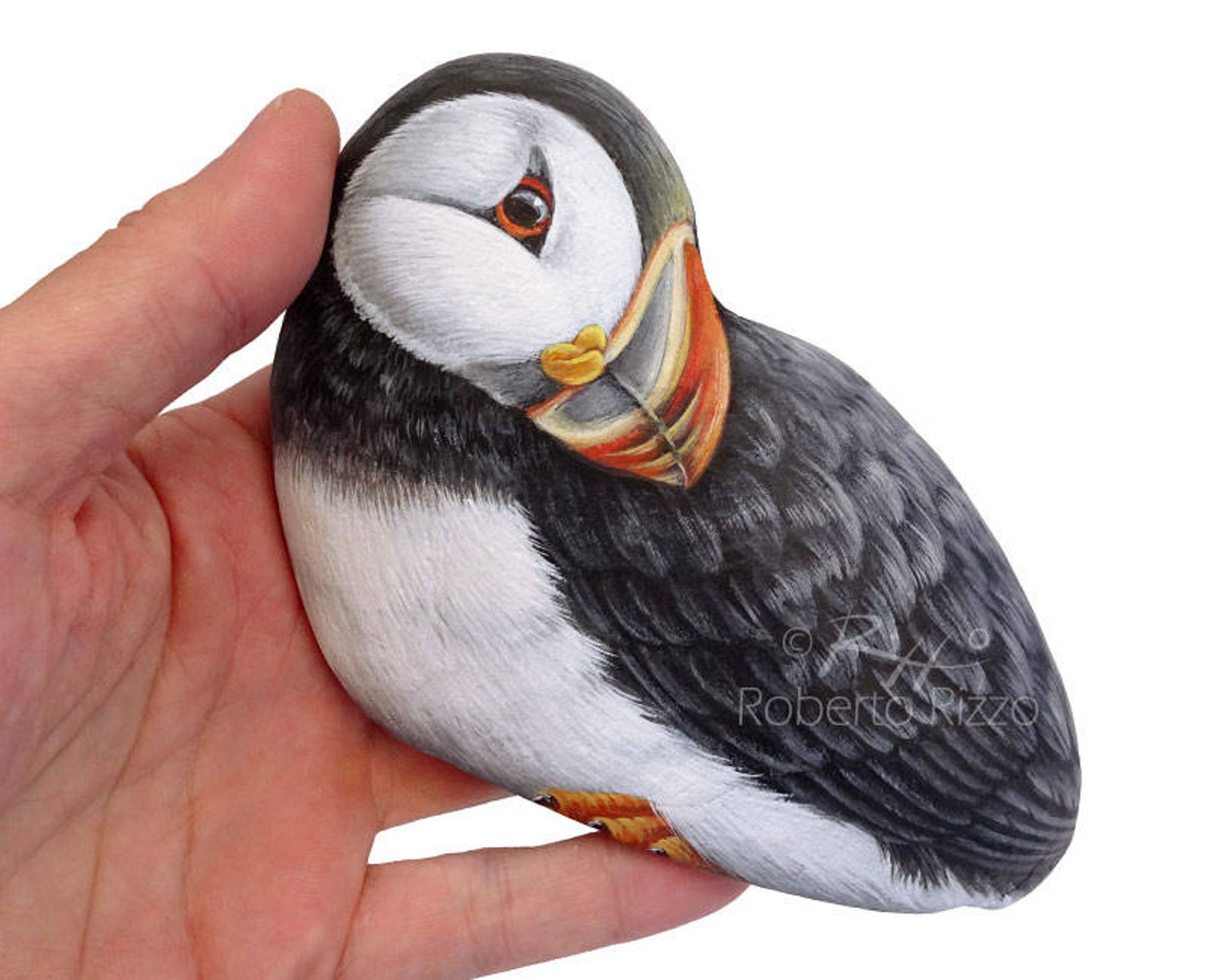 Unique Hand Painted Rock Puffin A Stunning Piece of Art and a - Etsy