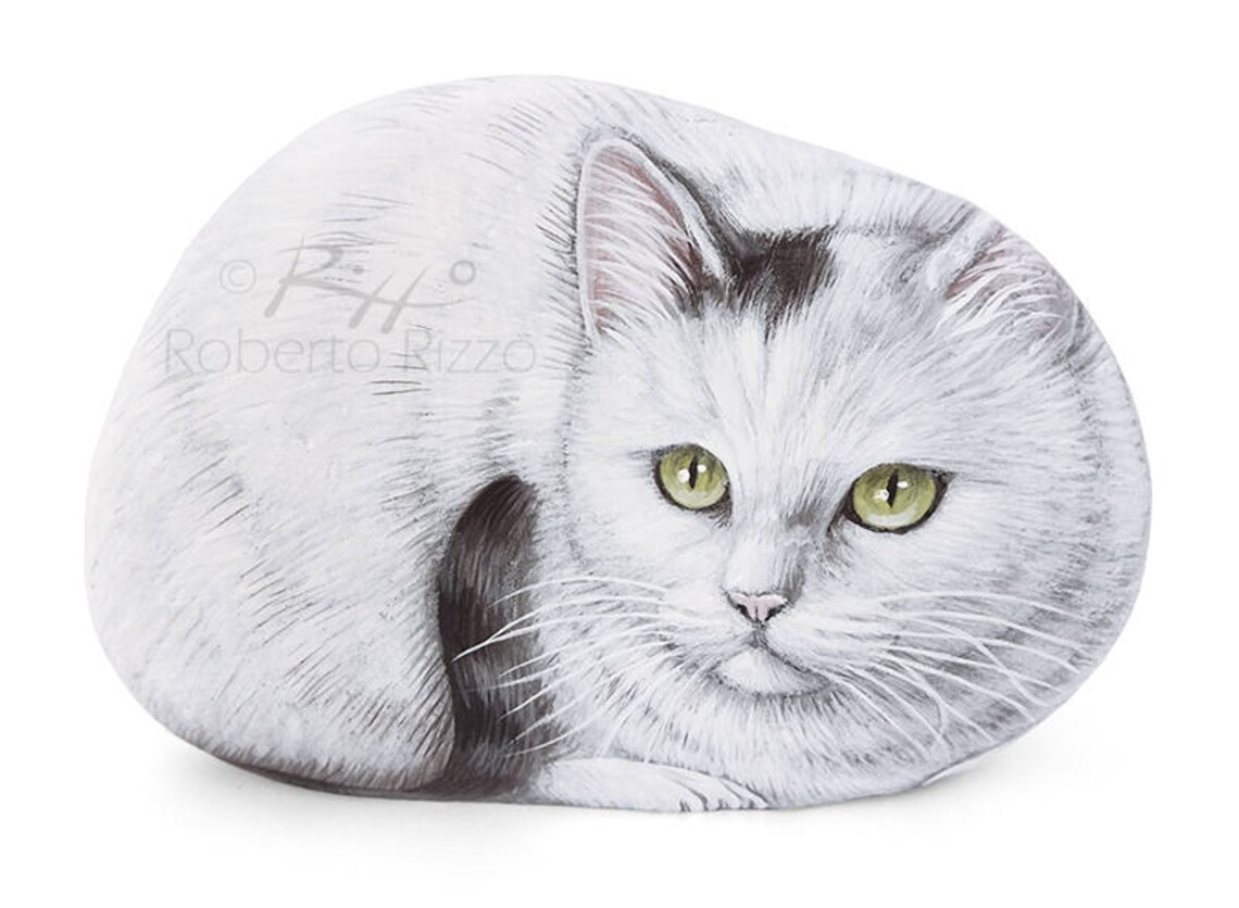 Süße weiße Katze auf einem Seestein | Katzenmalerei auf Stein | Rock ...