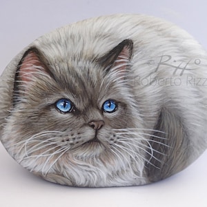 Irresistible Ragdoll Cat Painted on A Sea Stone | Rock Art by Roberto ...