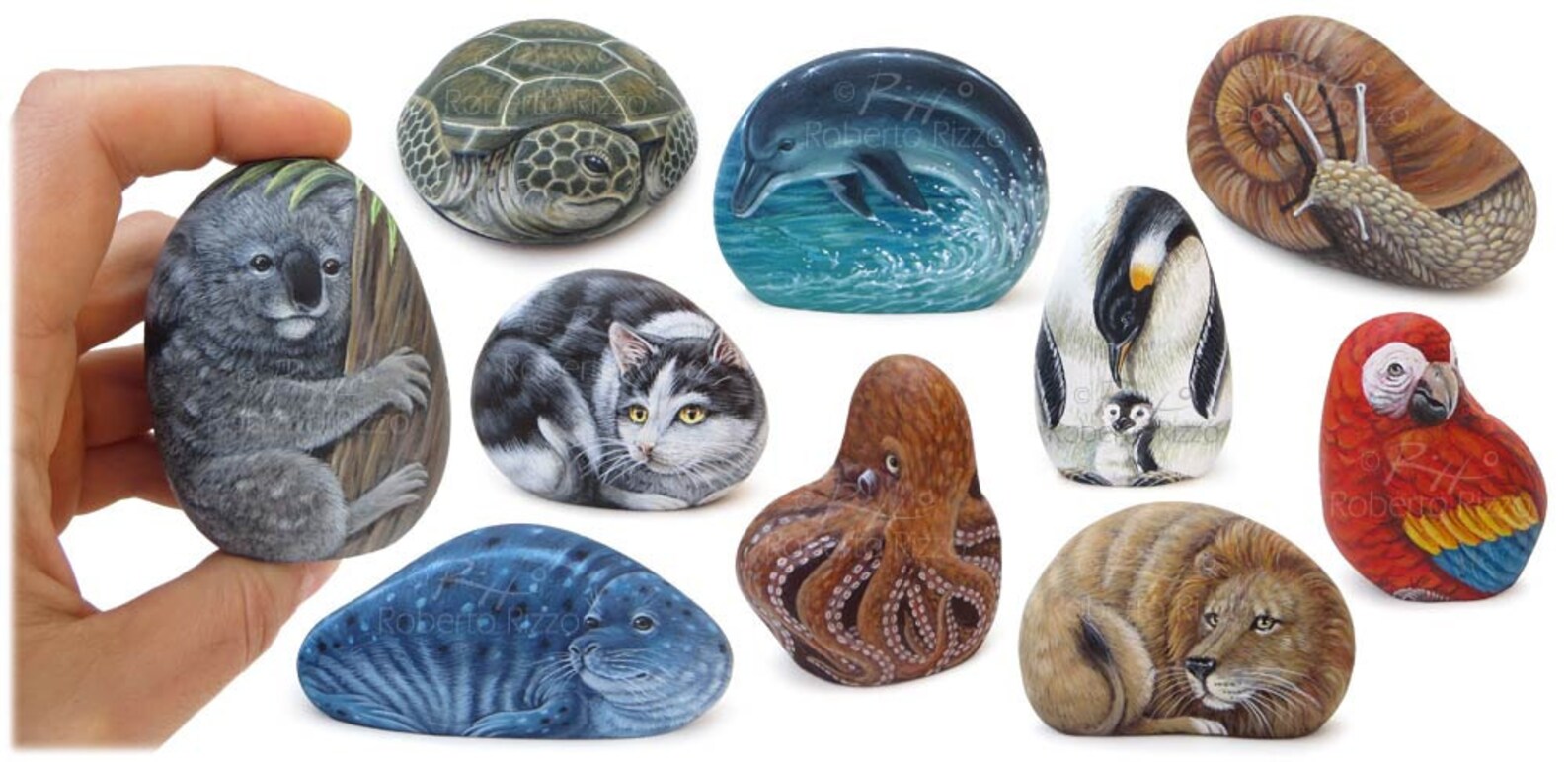 Sweet Koala Painted on A Sea Rock | Painted Pebbles by Roberto Rizzo ...