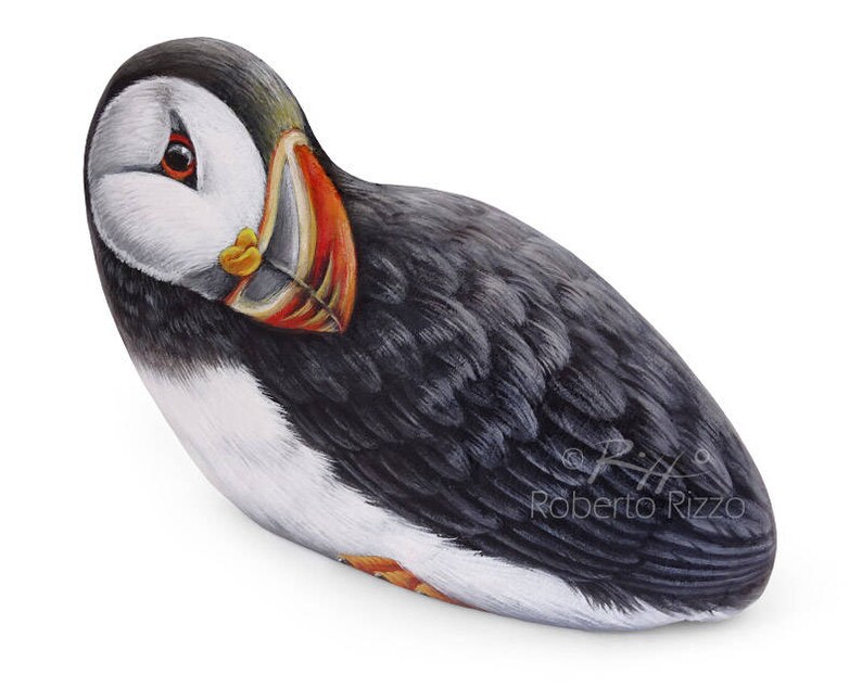 Unique Hand Painted Rock Puffin A Stunning Piece of Art and a - Etsy