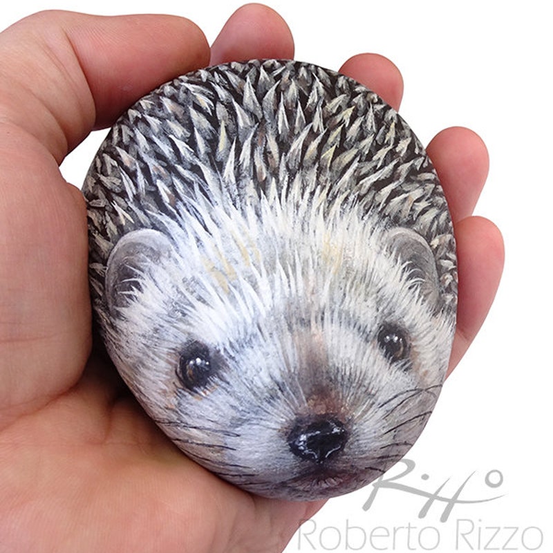 Paint Hedgehog Rock - Etsy