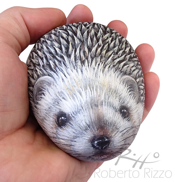 Cute Rock Painted Hedgehog | Fine Detailed Hand Painted Stone | the Art ...