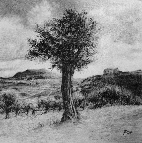 Easy Charcoal Landscape Drawings