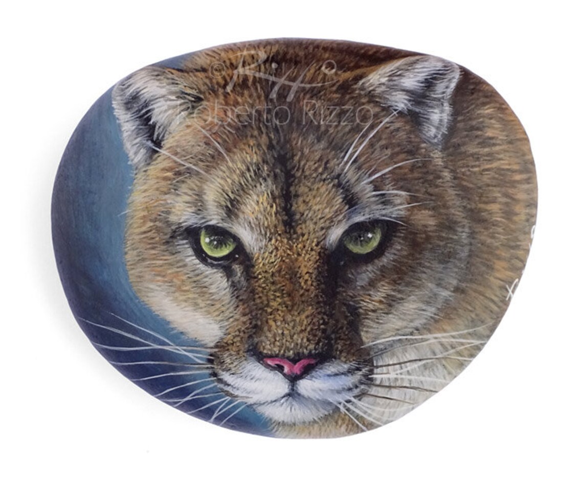 Puma Head Hand Painted on Rock | Mountain Lion Stone Art by Roberto ...