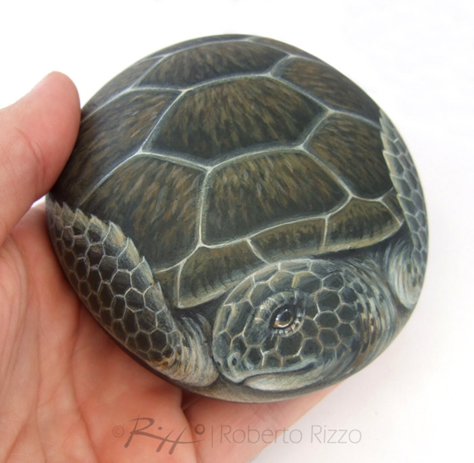 Unique Hand Painted Rock Sea Turtle - Etsy