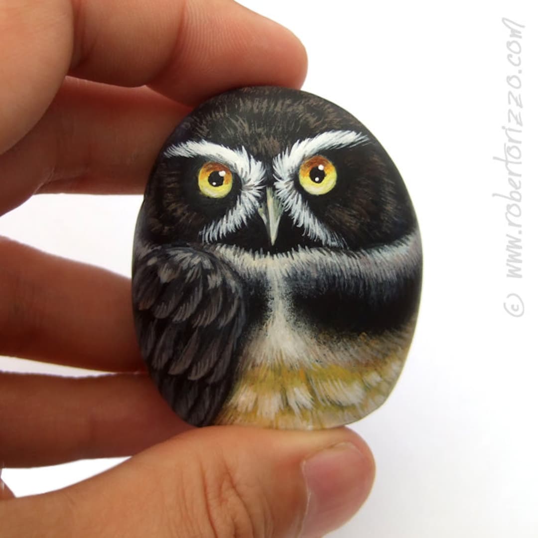 Original Hand Painted Stone Spectacled Rock Owl | Small Painted Owls by ...