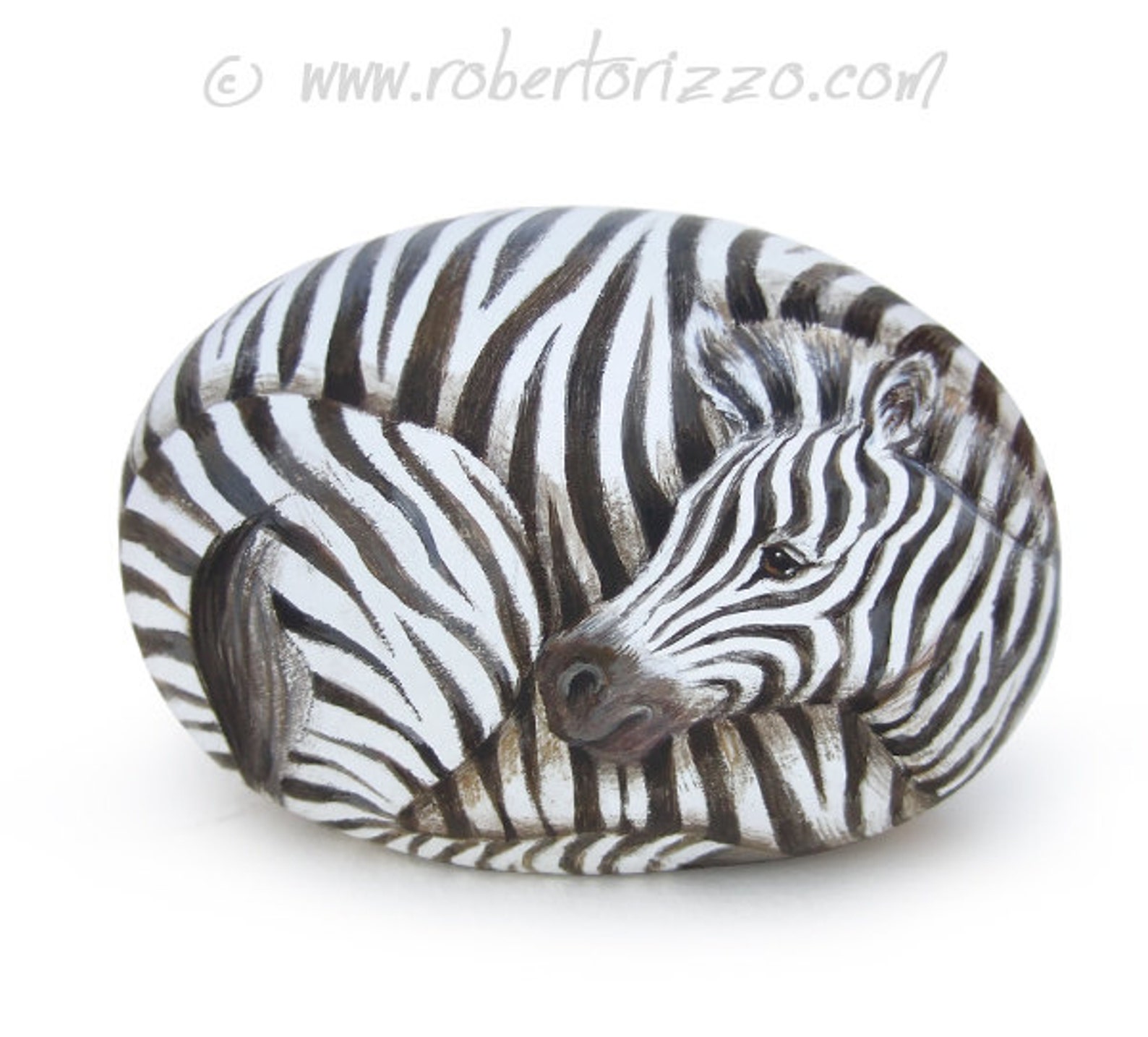 Amazing Zebra Painted on A Sea Rock Stone Art by Roberto Rizzo - Etsy