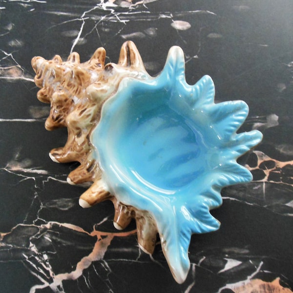 Sea Shell Soap - Etsy