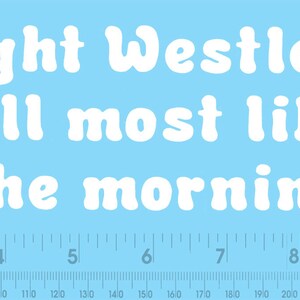 The Princess Bride Vinyl Car Decals Movie Quotes, Custom Stickers ...