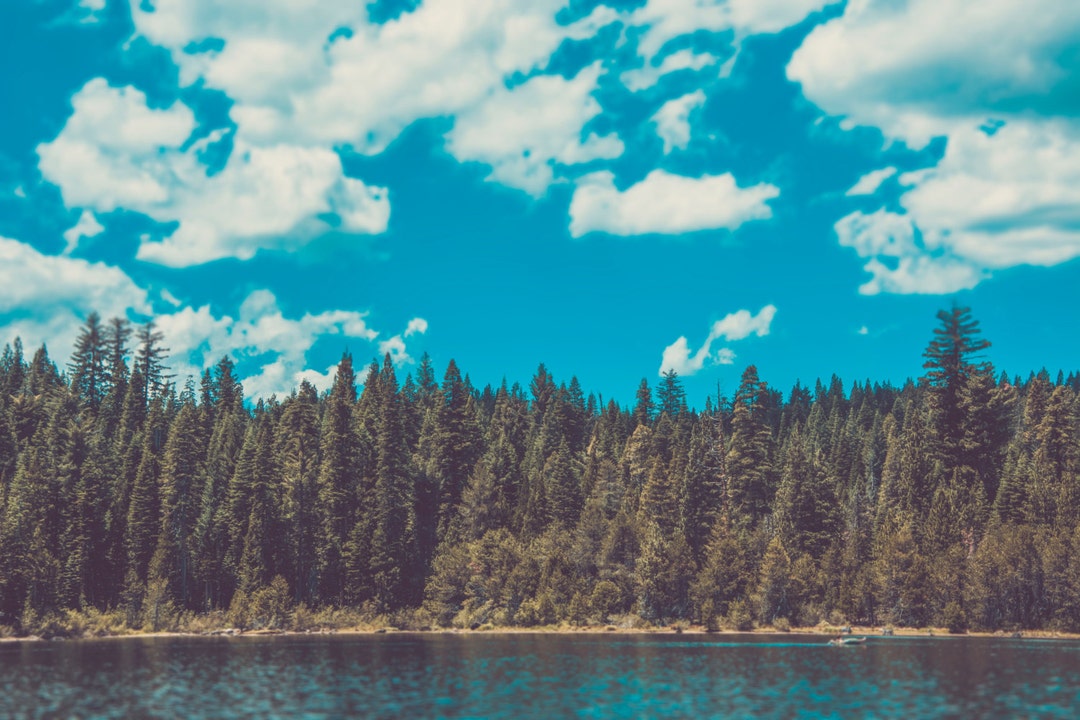 The Trees at Gerle Creek Reservoir, Summer Fun, Blue Skies, Clean Water ...