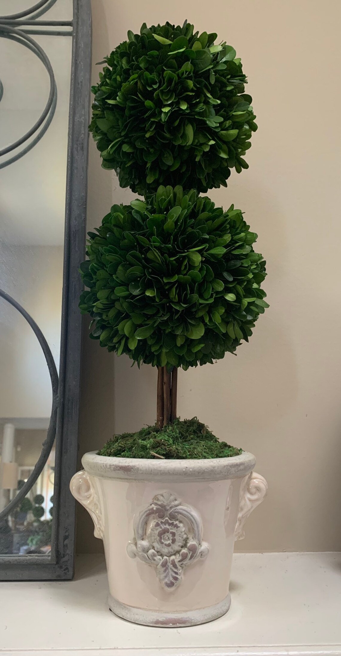 Custom Preserved Boxwood Topiary Double Boxwood Topiary - Etsy