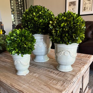 French Country Boxwood Topiary, Boxwood Orb Topiary, Preserved Boxwood ...