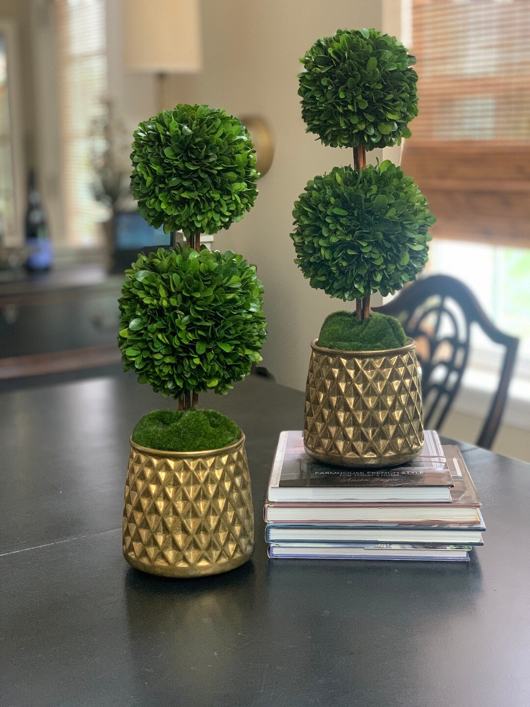 Preserved Boxwood Topiary, Boxwood Topiary - Etsy