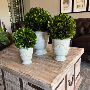 French Country Boxwood Topiary, Boxwood Orb Topiary, Preserved Boxwood ...