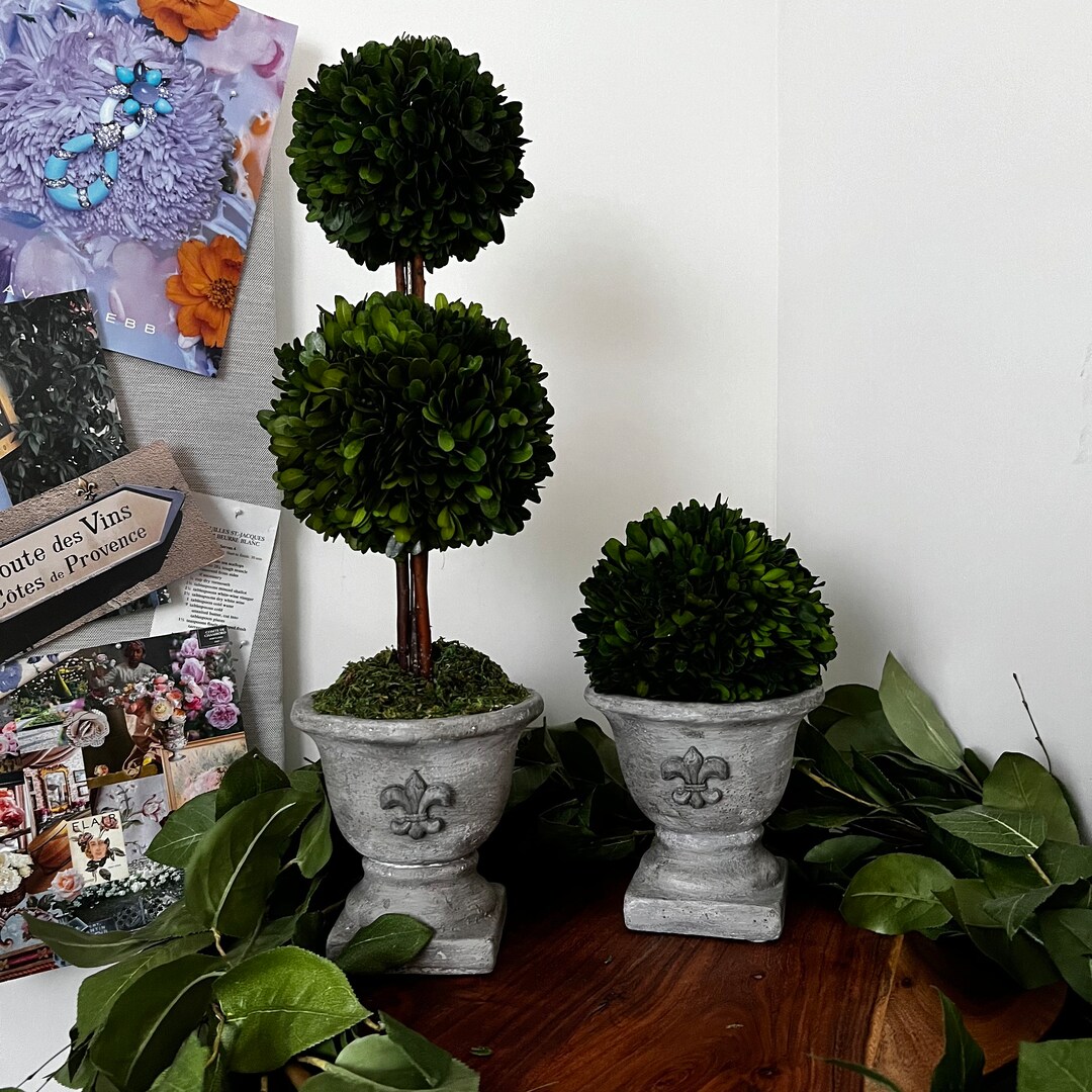 Preserved Boxwood Topiary, Double Boxwood Topiary, French Country ...