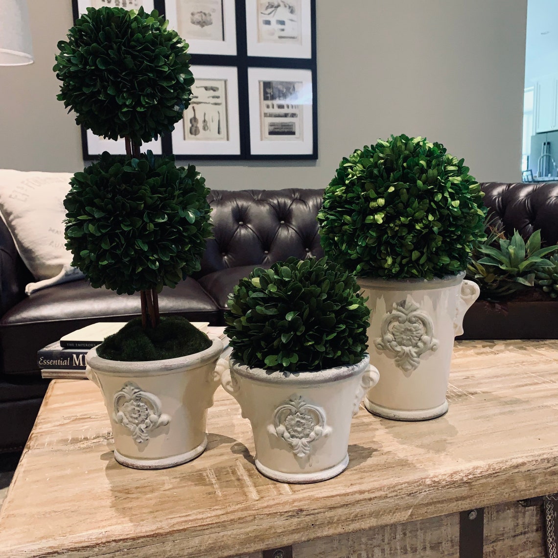 Custom Preserved Boxwood Topiary Double Boxwood Topiary - Etsy