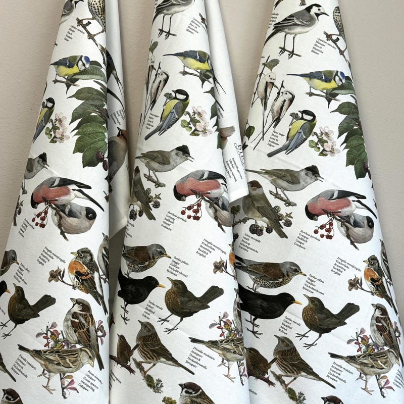 Bird Kitchen Decor - Etsy