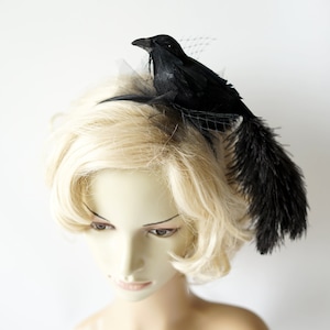 Black Bird Fascinator Headband Black Feather Fascinator Bird Nest ...