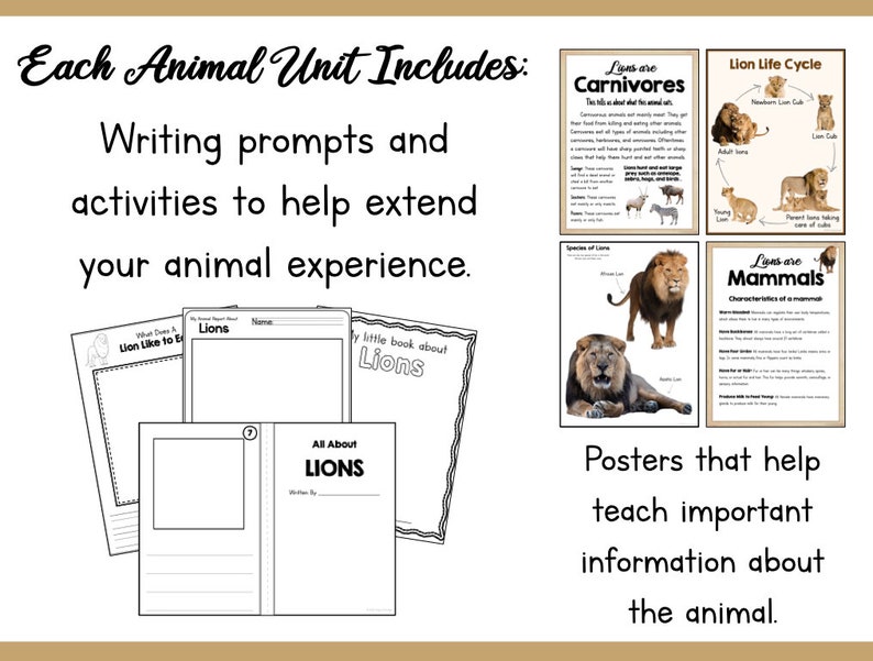 All About Lions- Animal Science Unit - Etsy
