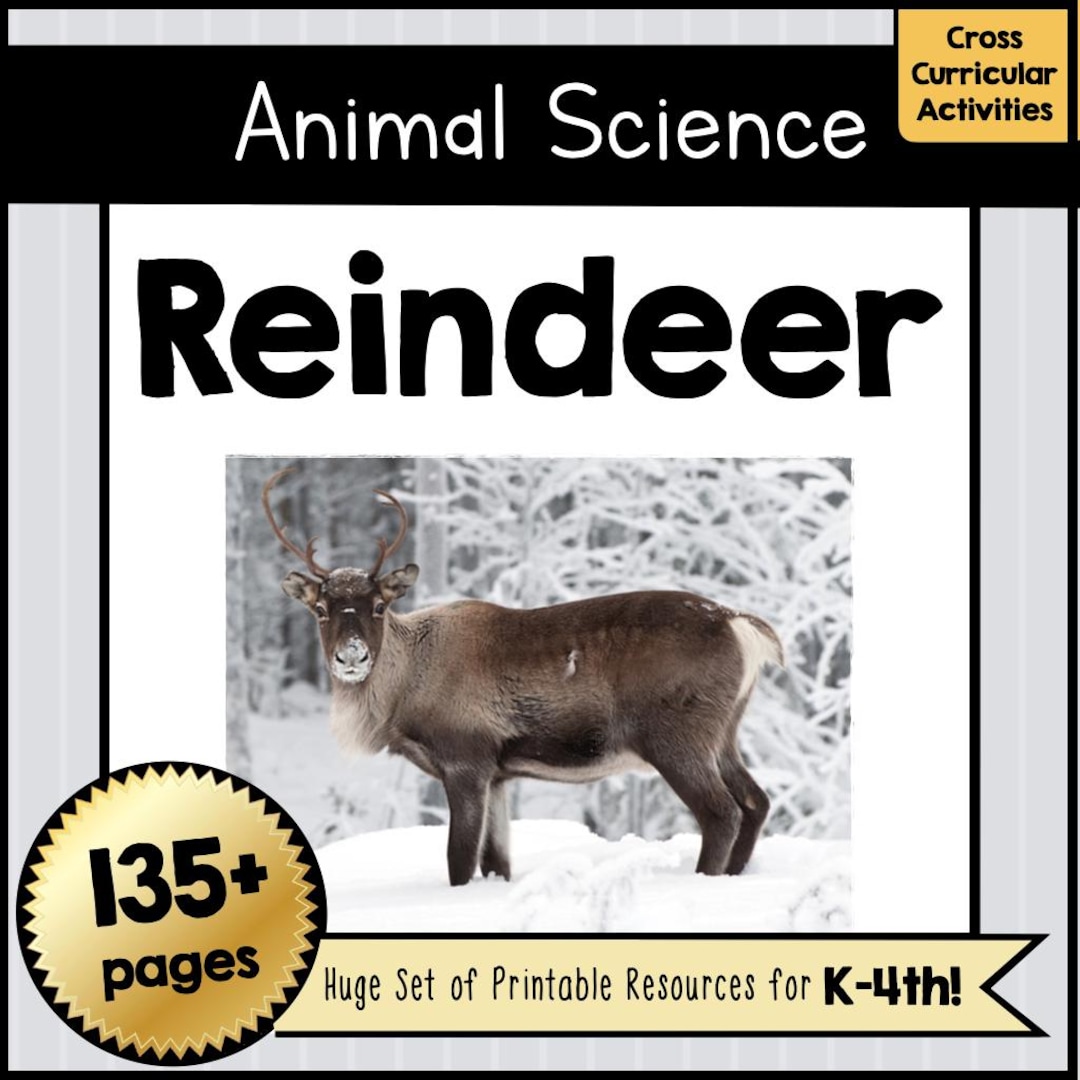 Printable REINDEER Animal Science Unit | Kids Classroom and Homeschool ...