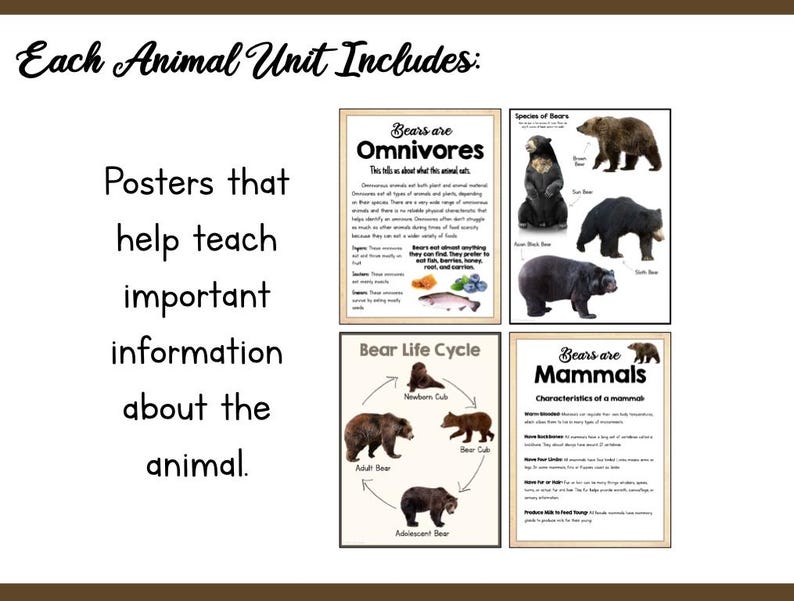 All About Bears- Animal Science Unit - Etsy