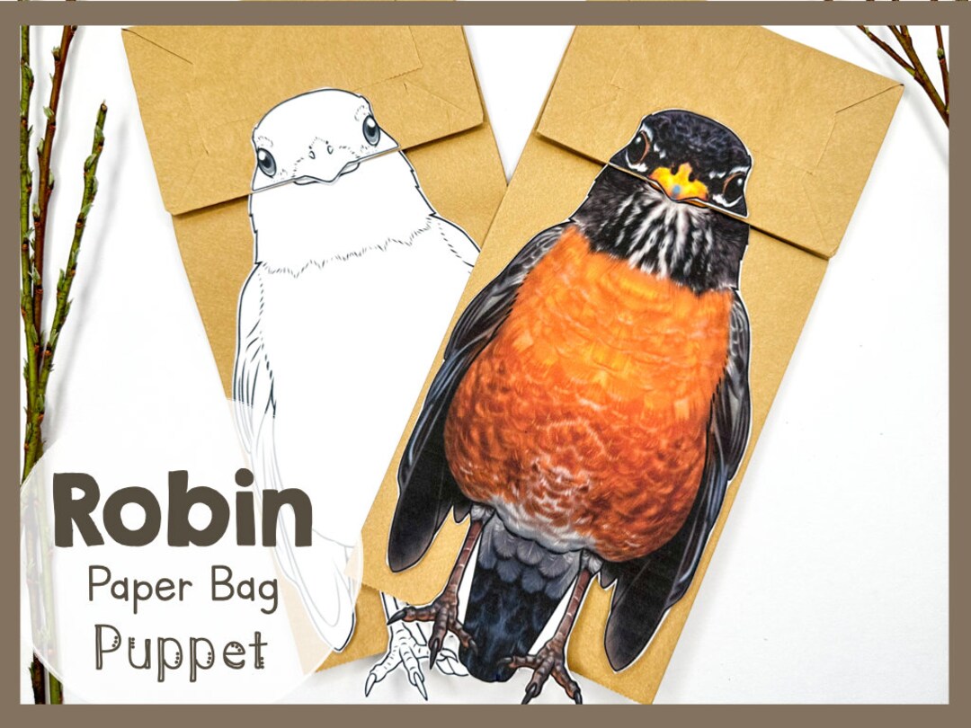 Robin Paper Bag Puppet Kit Autistic Kids Crafts Time Activity Printable ...