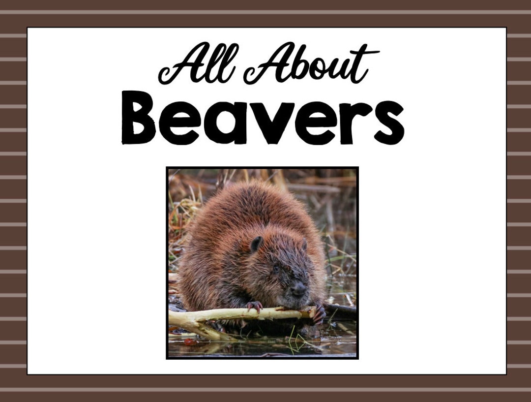 All About Beavers- Animal Science Unit - Etsy