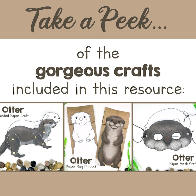 PRINTABLE All About OTTERS in 140+ Page Animal Science Unit PDF | Otter ...