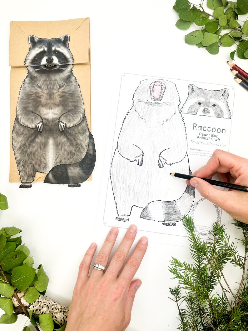 Printable Raccoon Puppet Template | Creative Paper Bag Craft | Hands-on ...