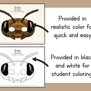 Bee Paper Mask Craft Kit | Printable Fun Animal Mask Template | Bee ...