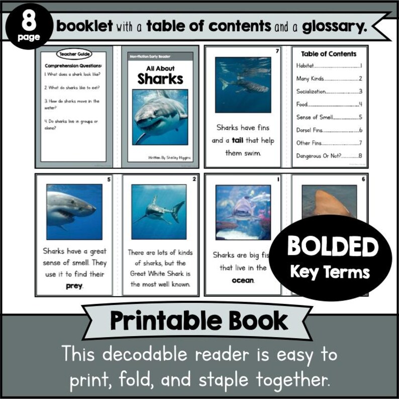 SHARKS Reading Comprehension Worksheets Reading Passages Short Stories ...