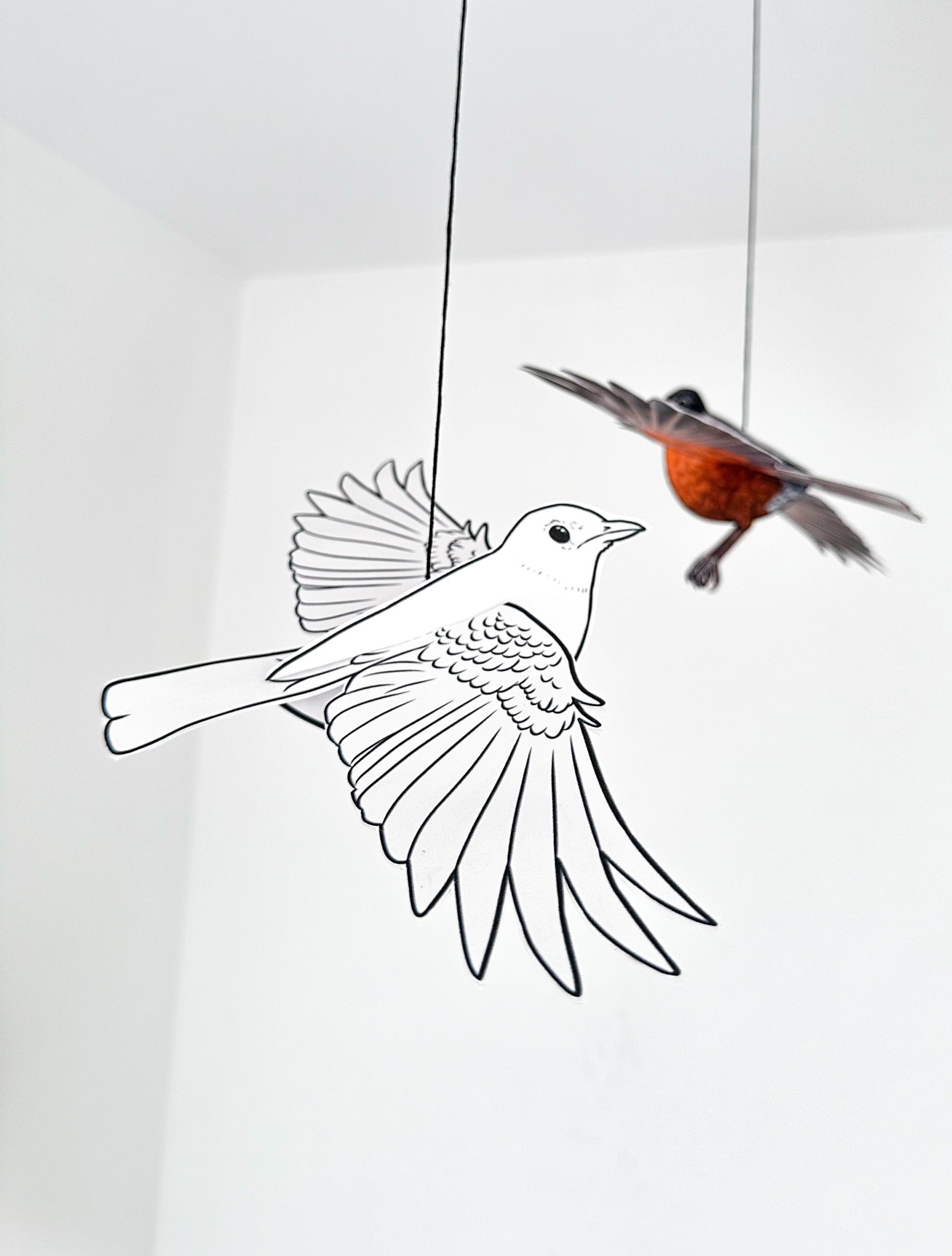 Robin 3D Paper Craft Kit | Hanging Bird Template | Nature Enthusiasts ...