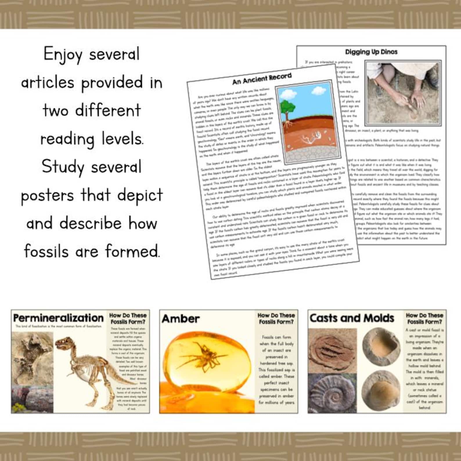 Fossils Science Unit Study PDF Paleontology Curriculum Worksheets ...