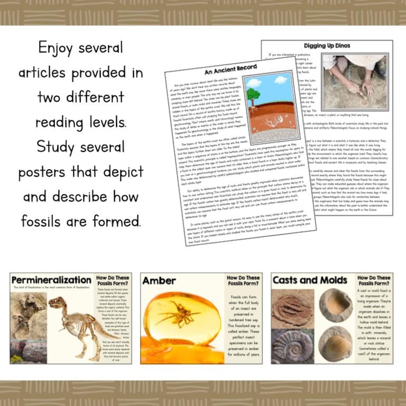 Fossils Science Unit Study PDF Paleontology Curriculum Worksheets ...