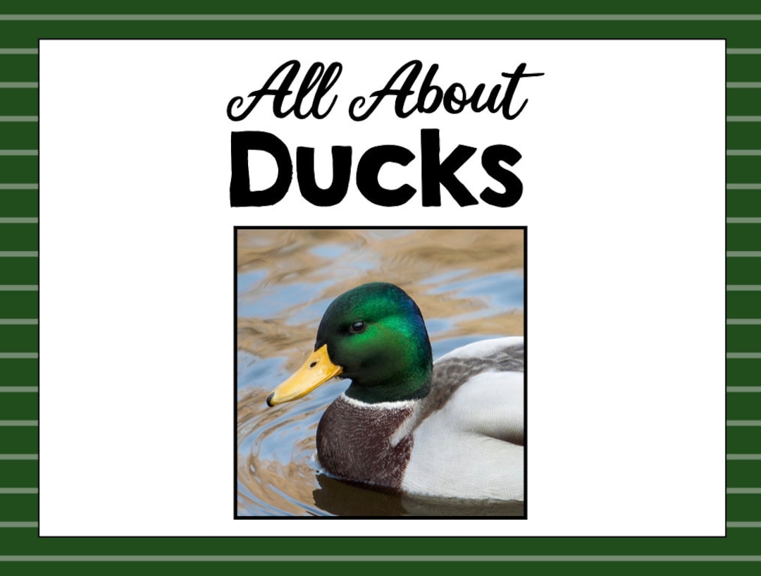 All About Ducks- Animal Science Unit - Etsy