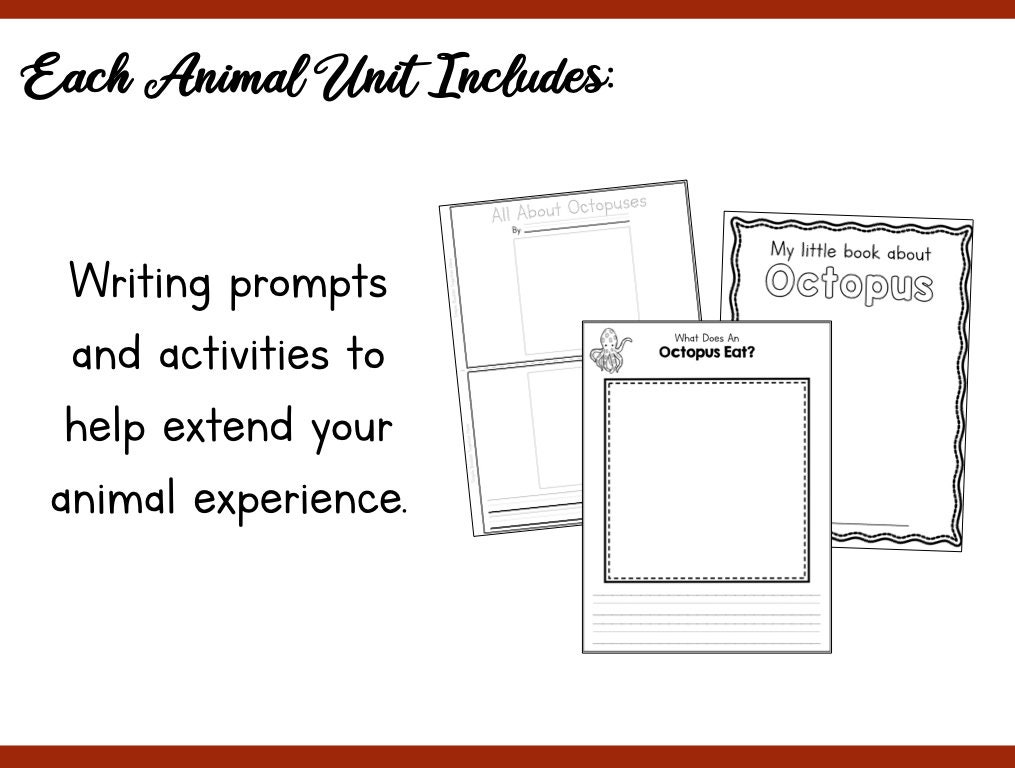 All About Octopus Animal Science Unit - Etsy