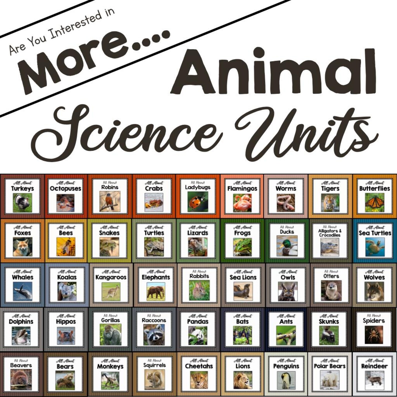 All About GORILLAS Animal SCIENCE Unit PDF | Printable Learning Pack ...