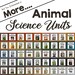 All About GORILLAS Animal SCIENCE Unit PDF | Printable Learning Pack ...