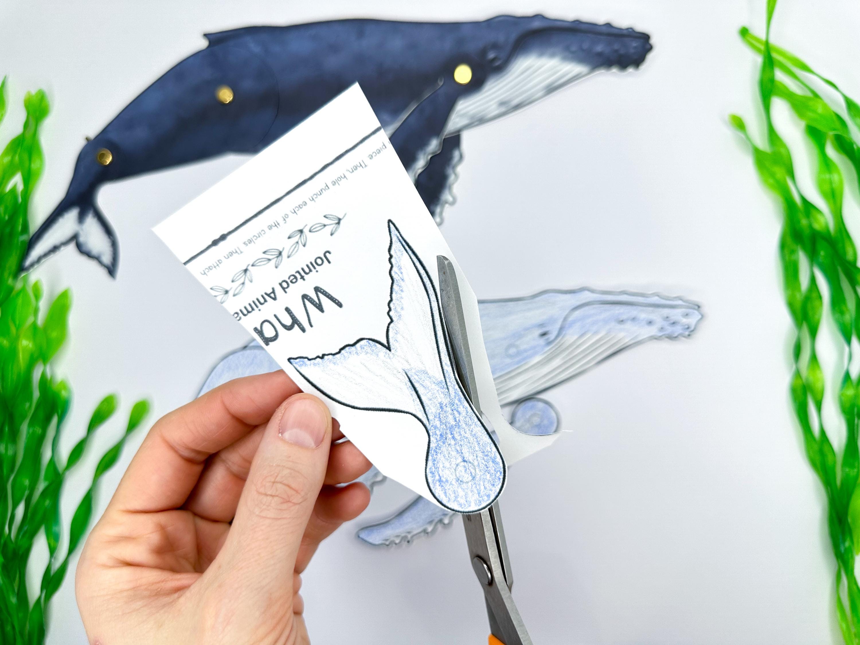 Printable Jointed Whale Puppet Craft | Articulated Animal Template for ...