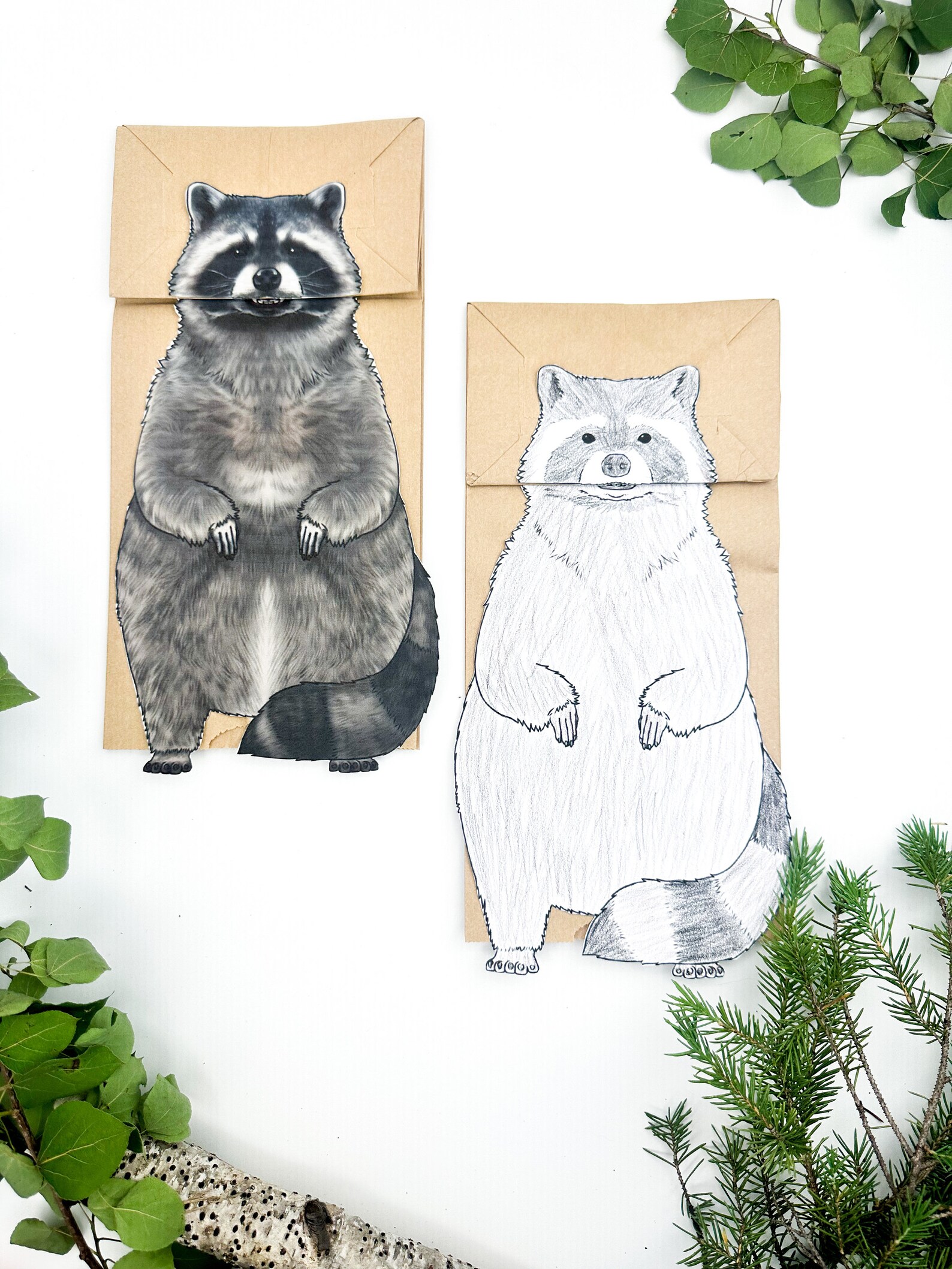 Printable Raccoon Puppet Template | Creative Paper Bag Craft | Hands-on ...