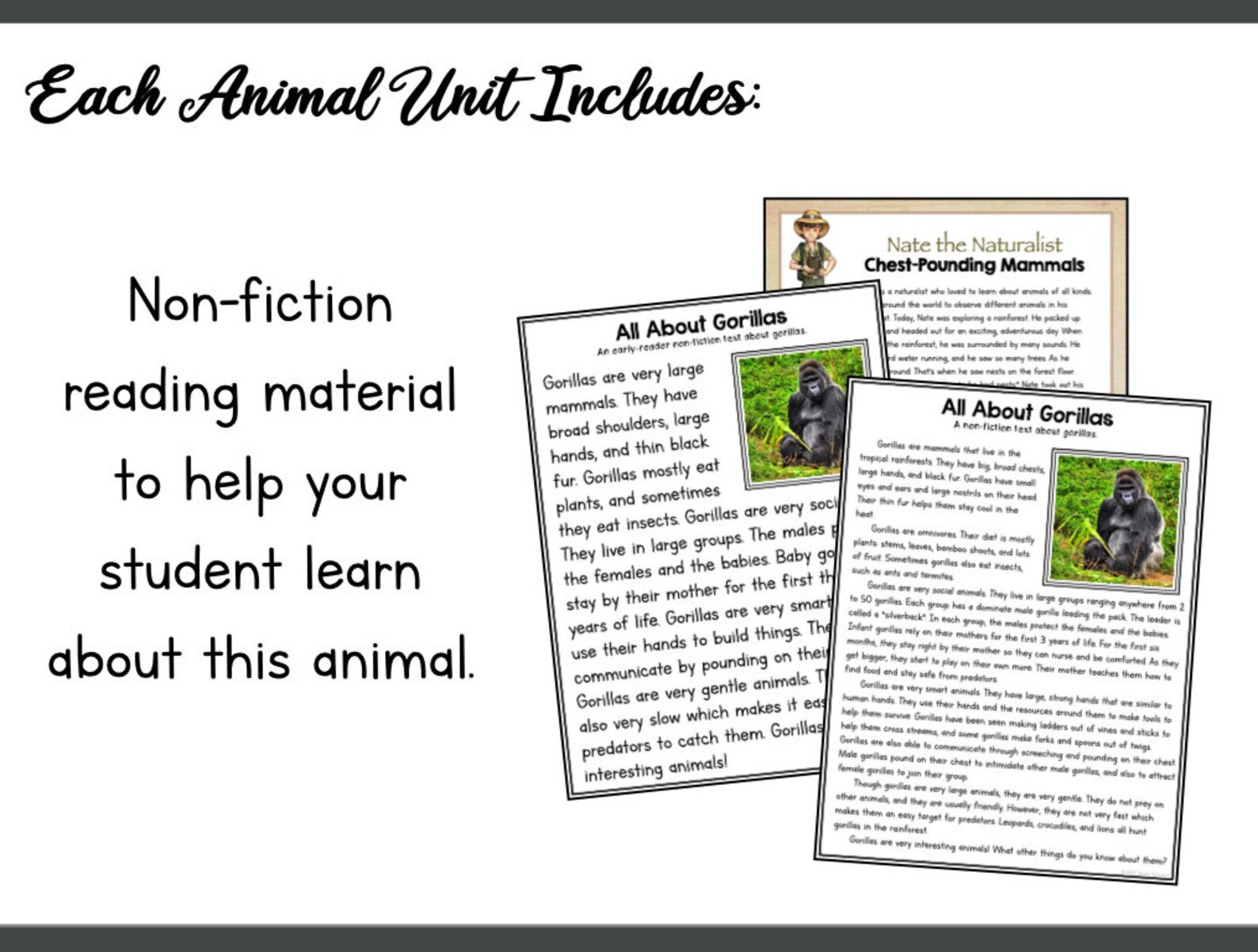 All About Gorillas- Animal Science Unit - Etsy