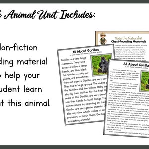 All About Gorillas- Animal Science Unit - Etsy